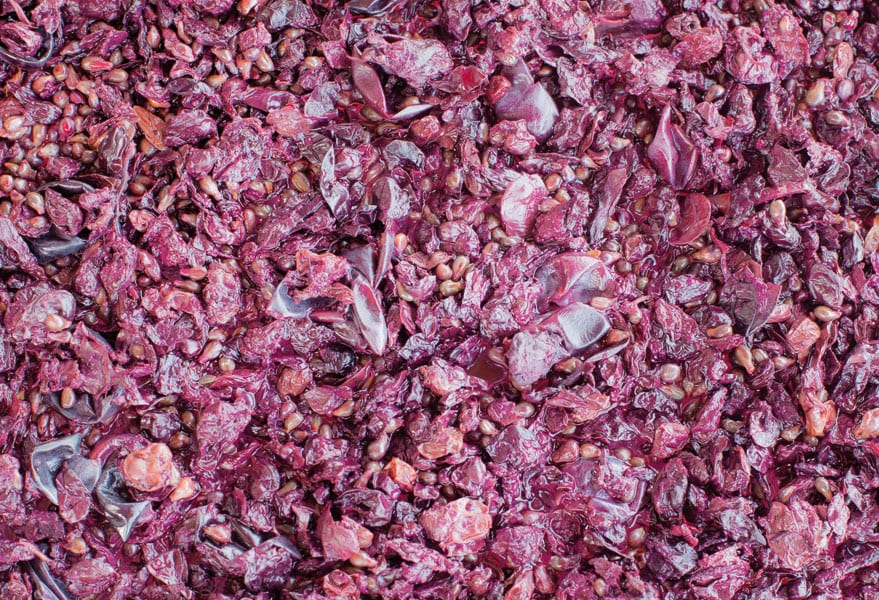 The Process of Making Grappa - On the Sauce Again