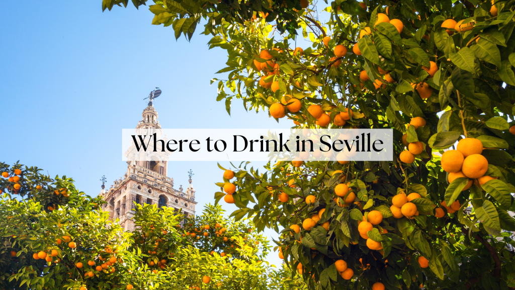 Where to Drink in Seville - On the Sauce Again